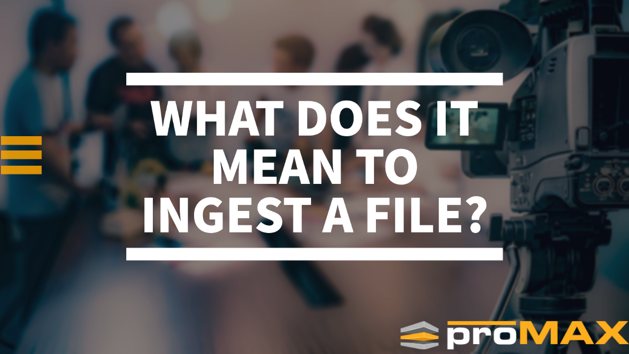 What does it mean to ingest a file?